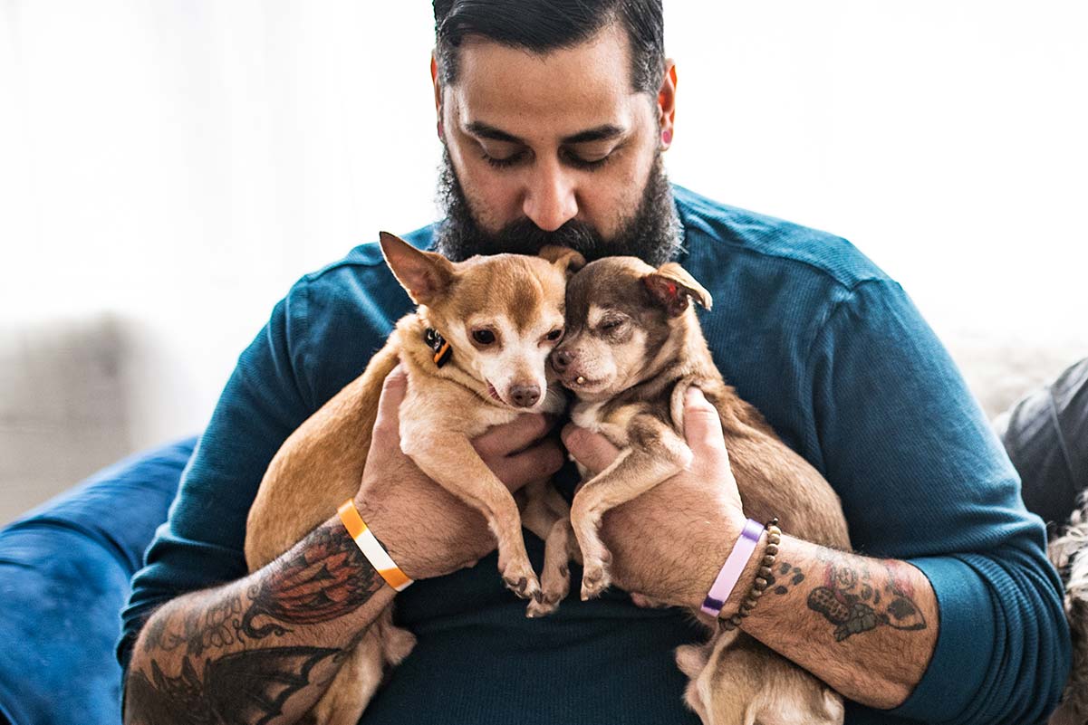 Immortalize Your Senior Dog's Legacy with Lux Summit Studio
